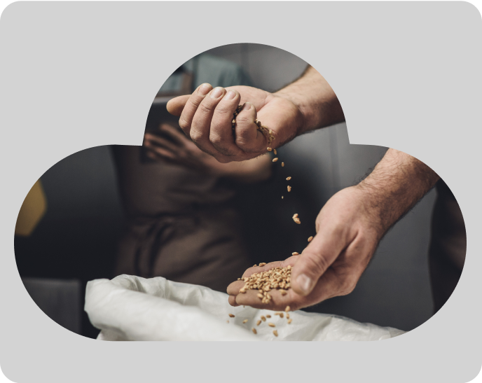 HR Software for UK SMEs – Trusted by 16,000+ organisations